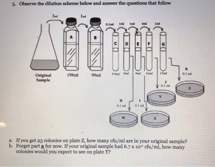 Solved 5. Observe the dilution scheme below and answer the | Chegg.com