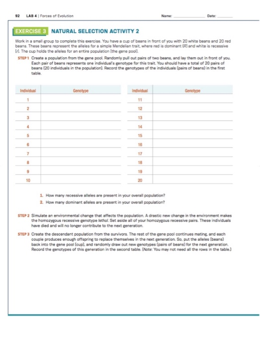 Date: Lab Exercises 3 12 13 14 15 16 17 18 19 20 10 | Chegg.com