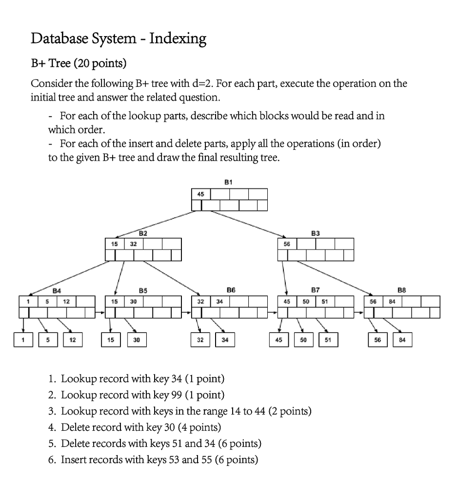 Database System - Indexing B+ Tree (20 points) | Chegg.com