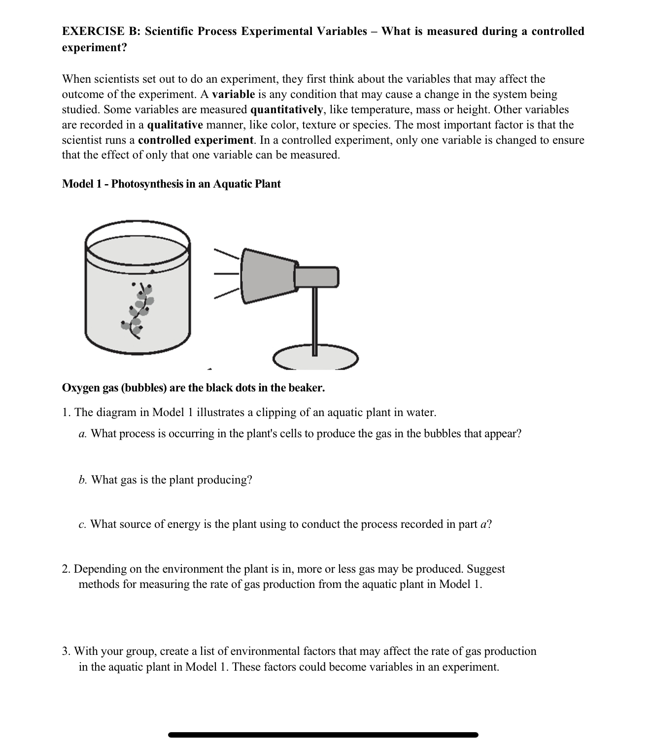 Solved EXERCISE B: Scientific Process Experimental Variables | Chegg.com