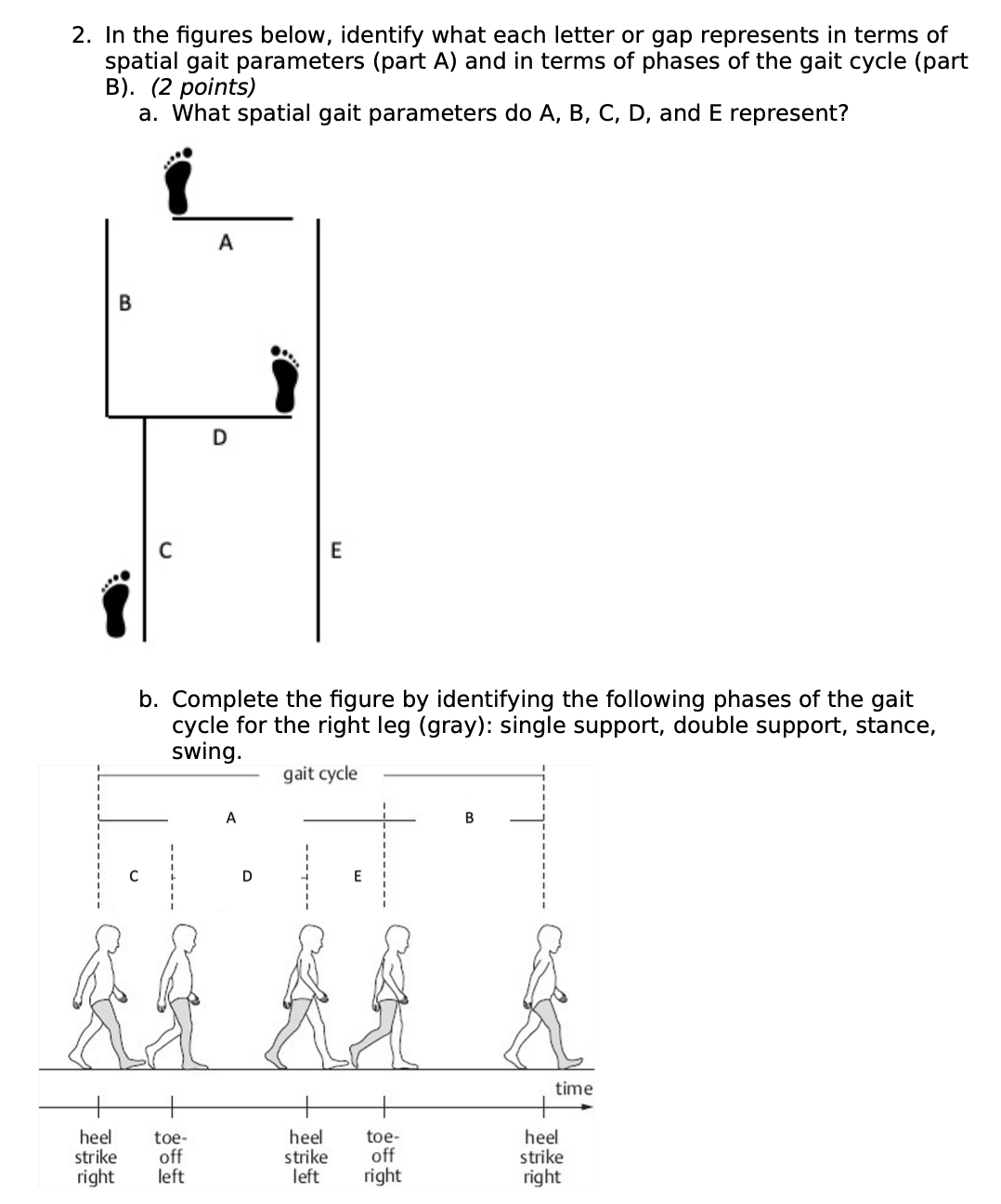 Solved 2. In the figures below, identify what each letter or | Chegg.com