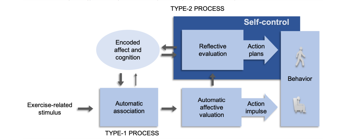 Solved What is an action impluse and automatic affective | Chegg.com