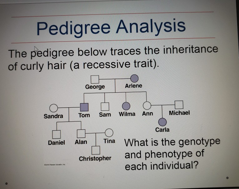 Solved Pedigree Analysis The pedigree below traces the | Chegg.com