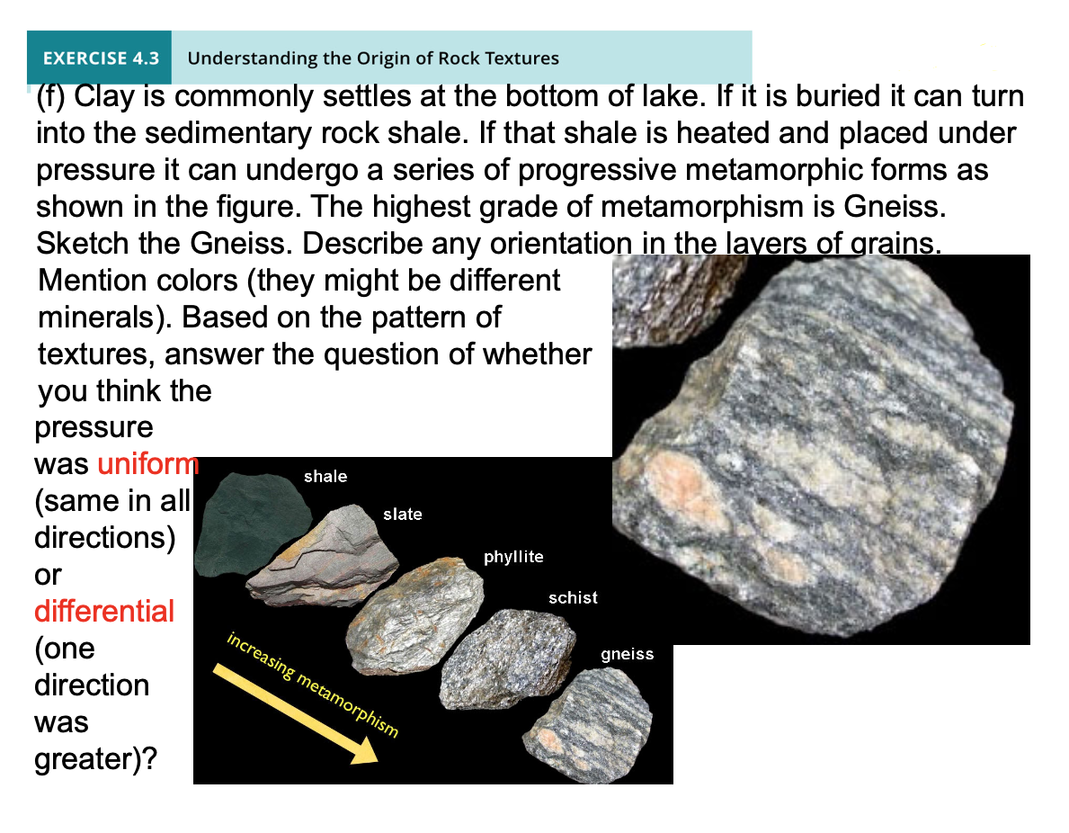 Solved EXERCISE 4.3 Understanding the Origin of Rock | Chegg.com