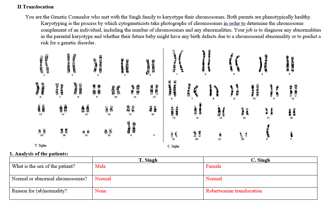 Solved II Translocation You are the Genetic Counselor who | Chegg.com