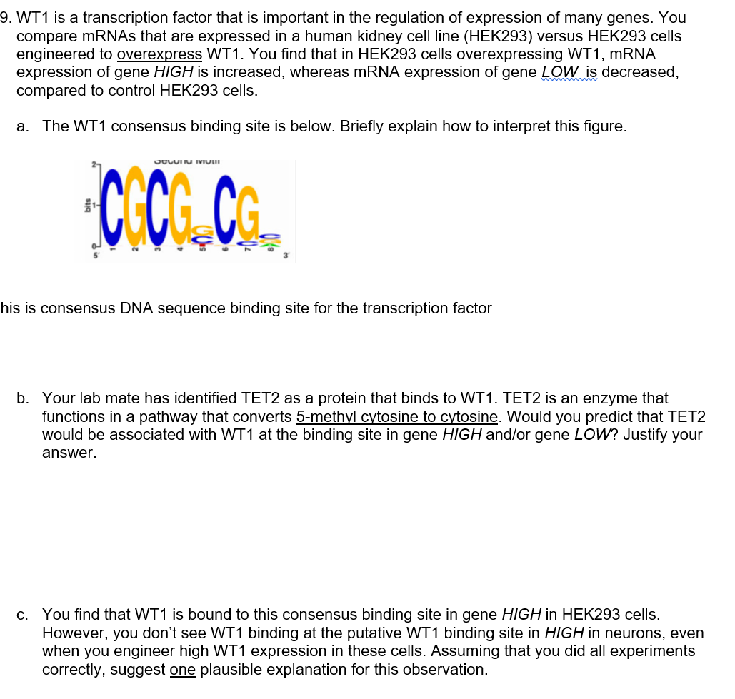 Solved 9. WT1 is a transcription factor that is important in | Chegg.com