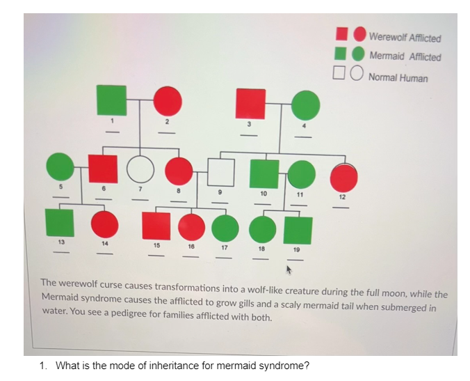 The werewolf curse causes transformations into a | Chegg.com