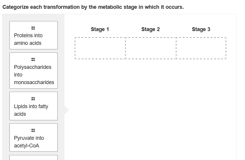 Solved Categorize each transformation by the metabolic stage | Chegg.com