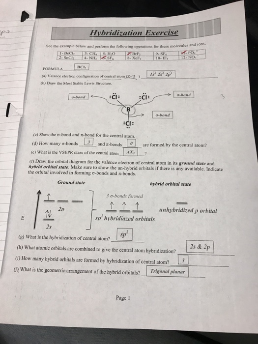 Solved p.a Hybridization Exercise See the example below and | Chegg.com