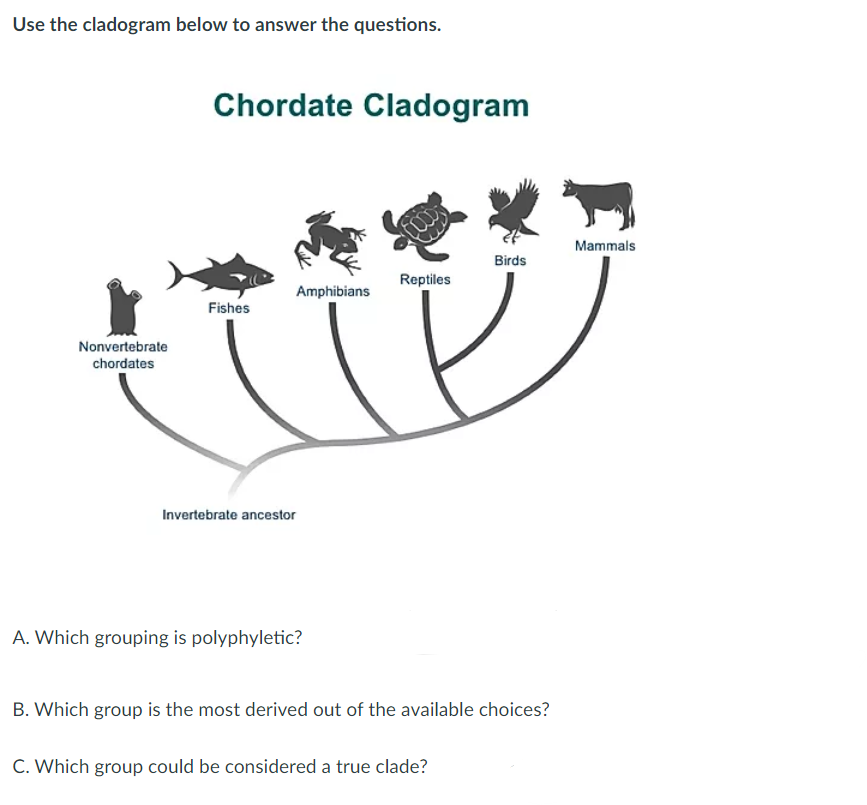 Solved Use the cladogram below to answer the questions. | Chegg.com