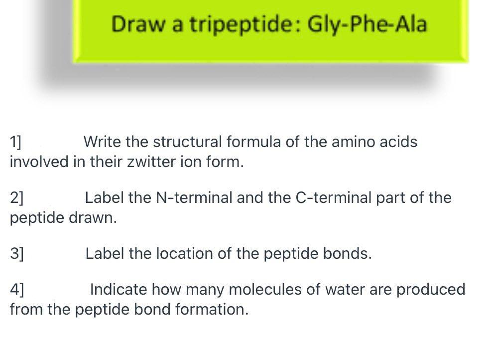 Solved Draw a tripeptide: Gly-Phe-Ala 1] Write the | Chegg.com