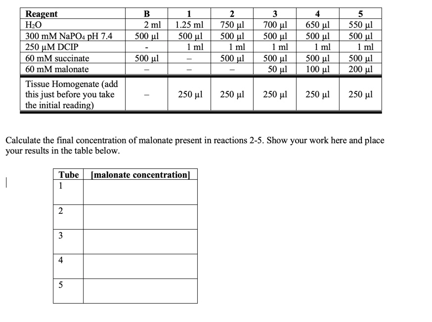 Solved B 2 ml 500 ul 1 1.25 ml 500 ul 1 ml Reagent HO 300 mM | Chegg.com