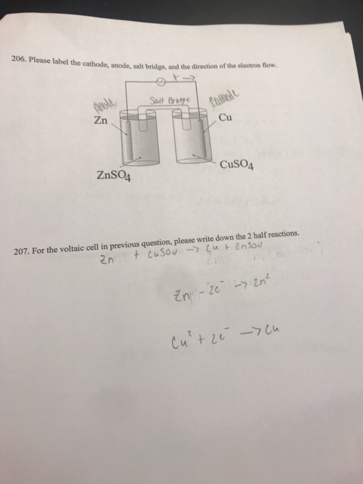 Solved 206. Please label the cathode, anode, salt bridge, | Chegg.com