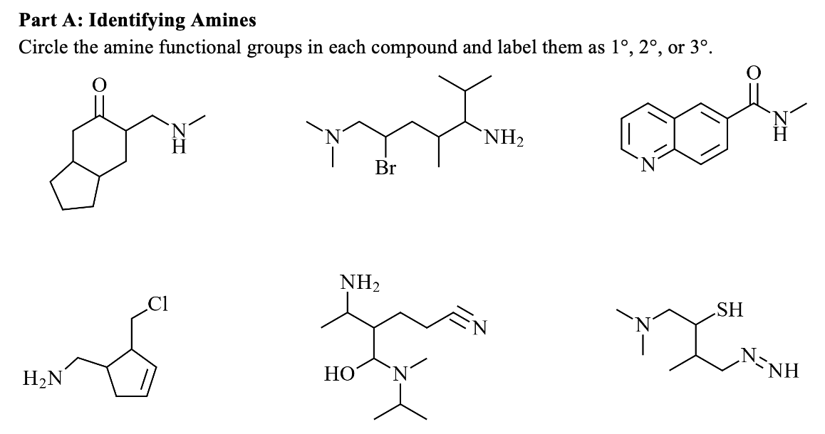 Solved Part A: Identifying Amines Circle the amine | Chegg.com