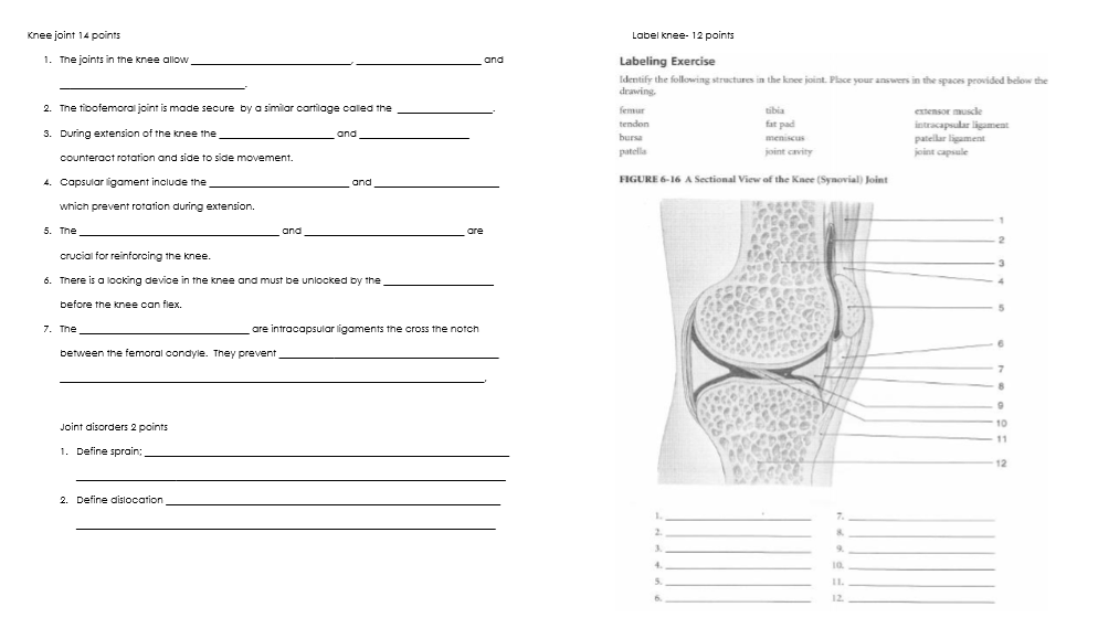 Solved Knee joint 14 points Label knee- 12 points 1. Tne | Chegg.com