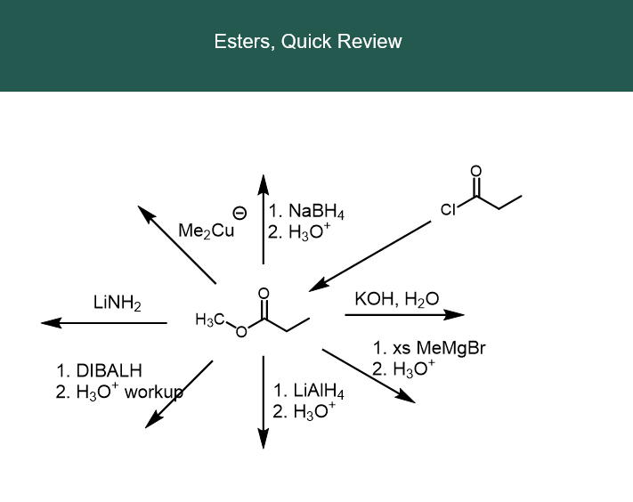 Solved Esters, Quick Review | Chegg.com