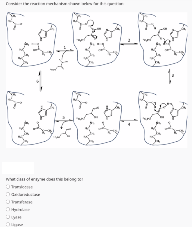 Solved Consider the reaction mechanism shown below for this | Chegg.com