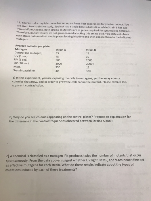 Solved 13. Your introductory lab course has set up an Ames | Chegg.com