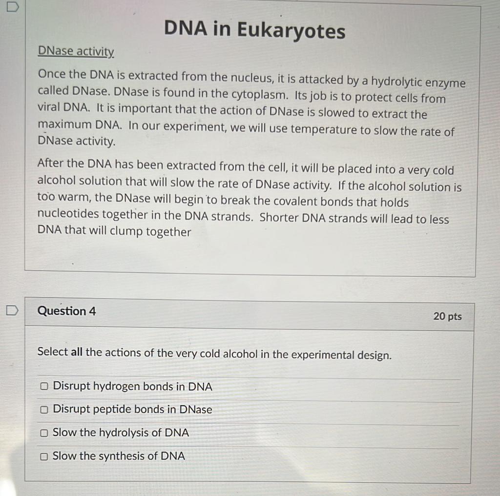 Solved DNA in Eukaryotes DNase activity. Once the DNA is | Chegg.com