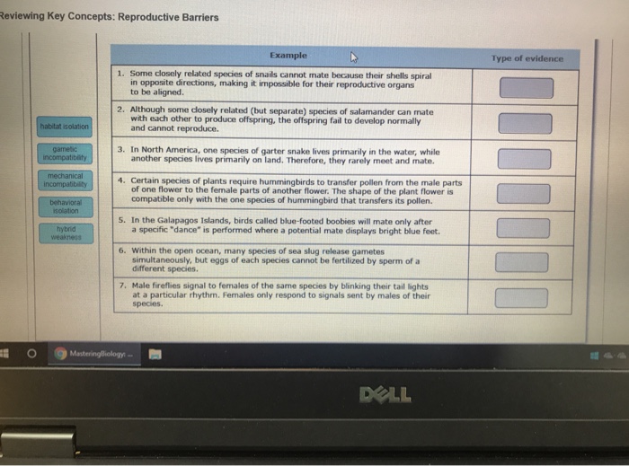 Solved eviewing Key Concepts: Reproductive Barriers Example | Chegg.com