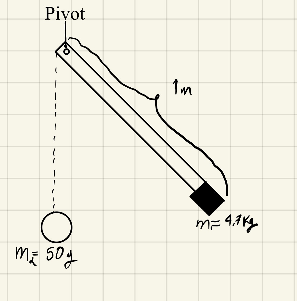 Solved Considering a 1-meter-long pendulum with a mass of | Chegg.com