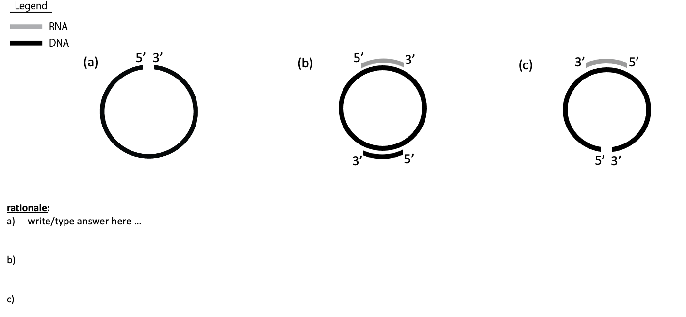 Solved Using your knowledge of the proteins involved in the | Chegg.com