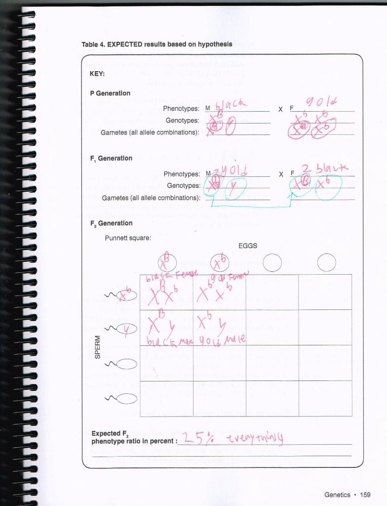DIRECTIONS: Answer Questions \#1-\#7 on this document | Chegg.com