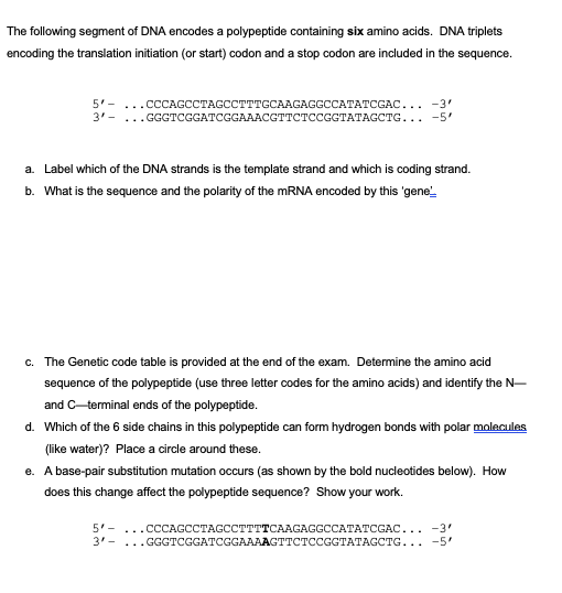 Solved The following segment of DNA encodes a polypeptide | Chegg.com