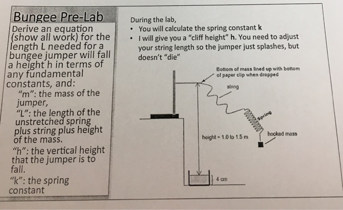 Solved Bungee Pre-Lab During the lab, Derive an equation | Chegg.com