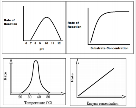 Solved Experiment 7 Case Study: Factors affecting | Chegg.com