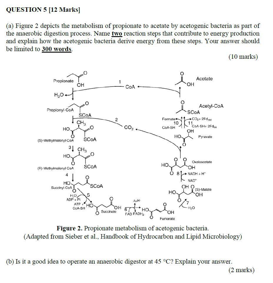 Solved QUESTION 5 [12 Marks] (a) Figure 2 depicts the | Chegg.com