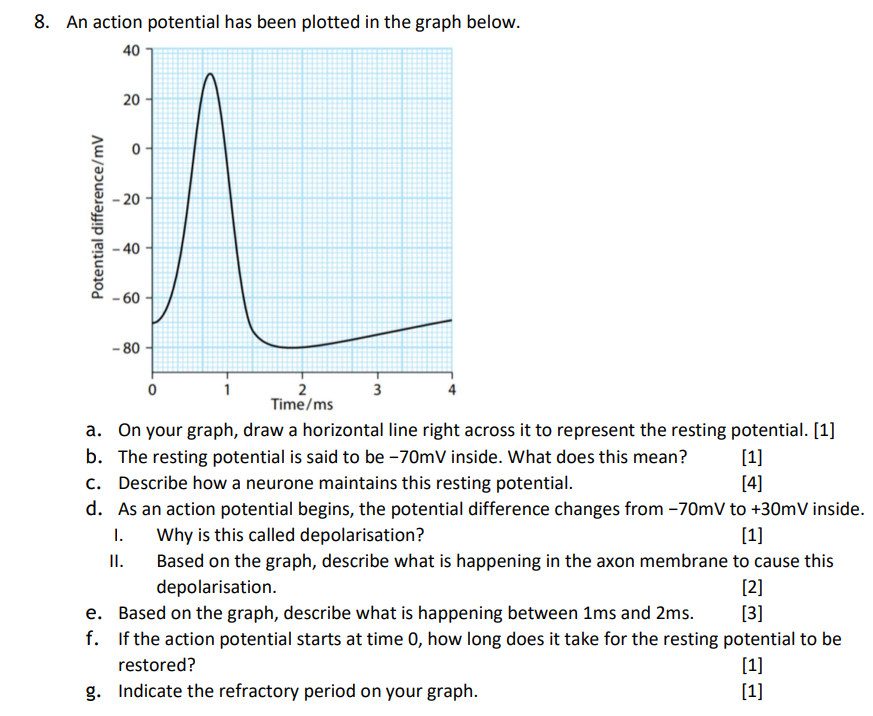 Solved 8. An action potential has been plotted in the graph | Chegg.com