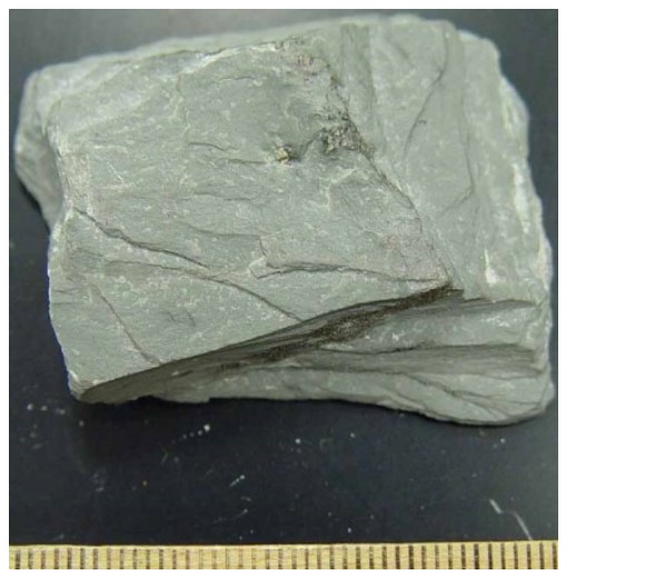 Solved Note: The metamorphic rock shown here does not react | Chegg.com