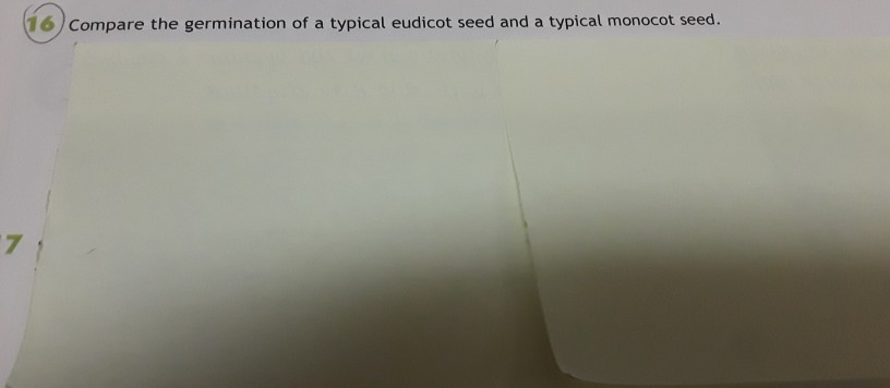 Solved REVIEW Complete the following table. Basal Dicots | Chegg.com