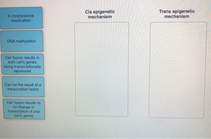 Solved Cis epigenetic mechanism Trans epigenetic mechanism X | Chegg.com