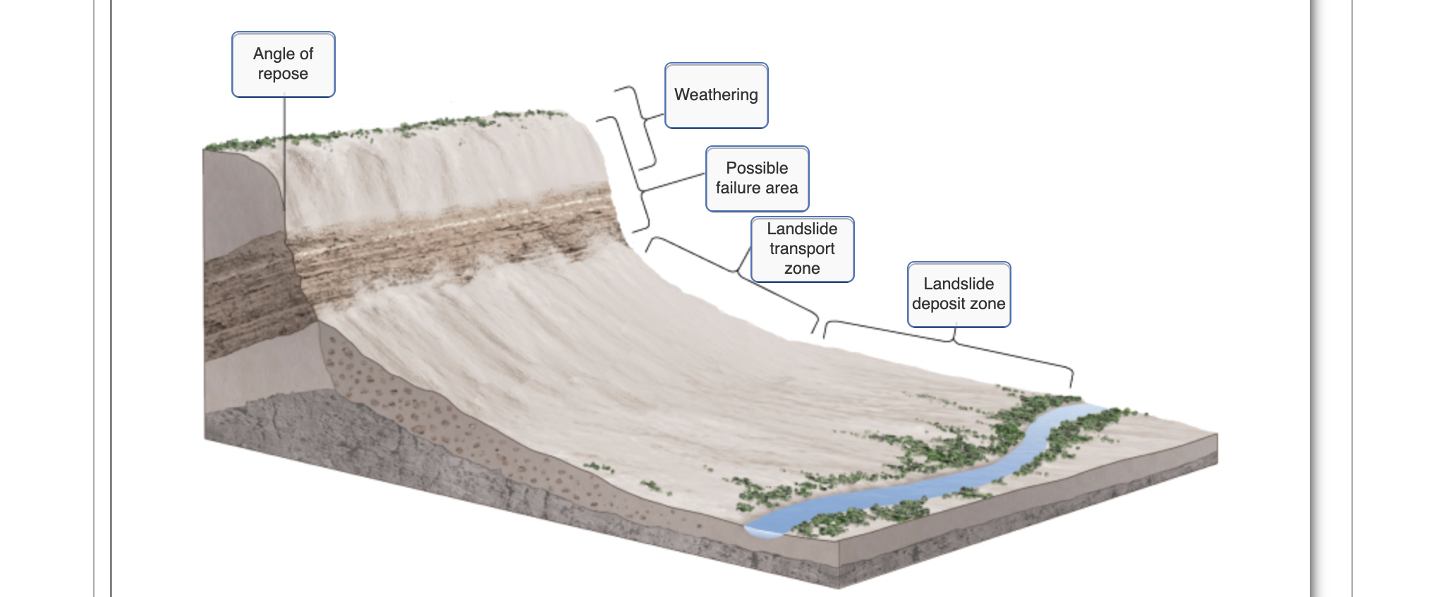 Solved Drag the appropriate labels to their respective | Chegg.com