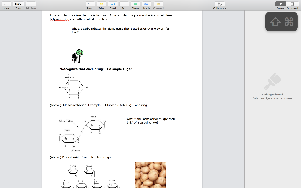Solved 125% ST + Add Page T Text View Zoom Insert Table | Chegg.com