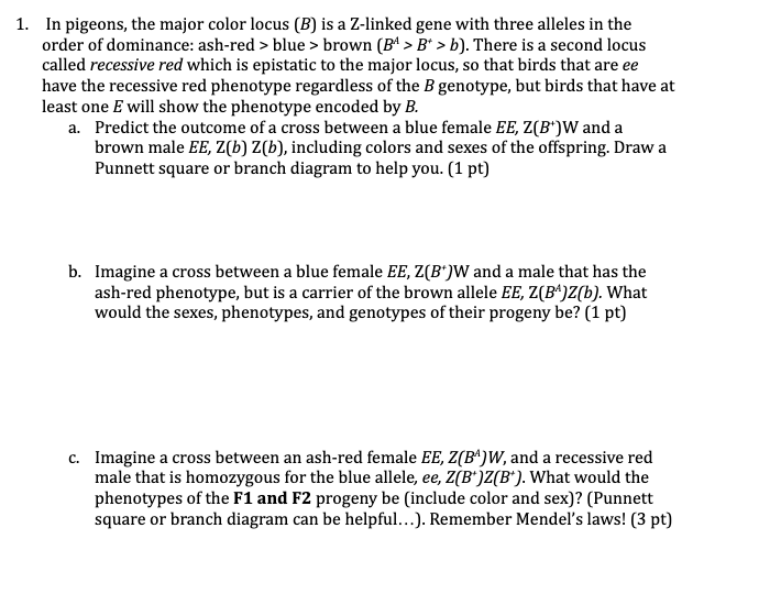 Solved 1. In pigeons, the major color locus (B) is a | Chegg.com