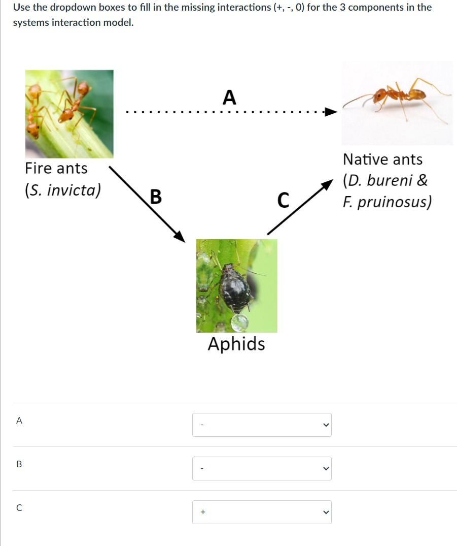 Solved Based on what you learned about competition between | Chegg.com