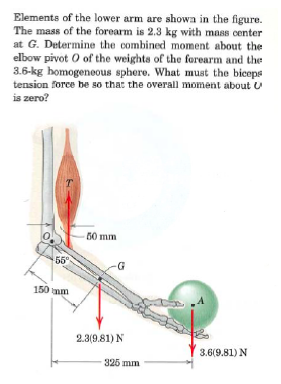Solved Elements of the lower arm are shown in the figure. | Chegg.com