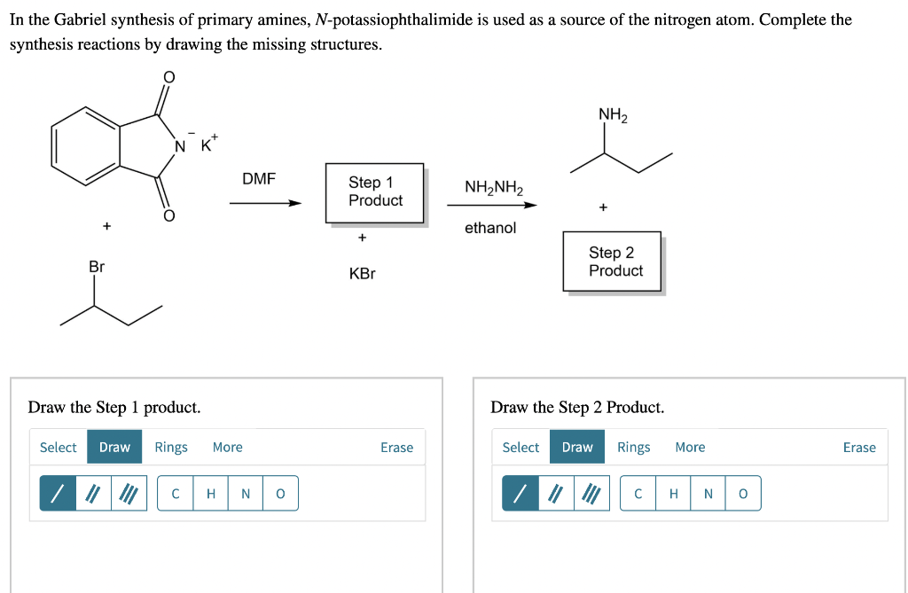 Solved In the Gabriel synthesis of primary amines, | Chegg.com