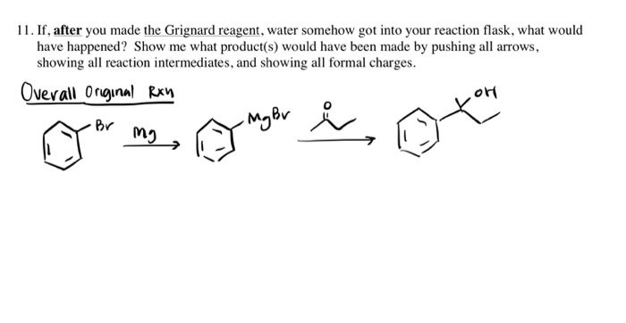 Solved 11. If, after you made the Grignard reagent, water | Chegg.com