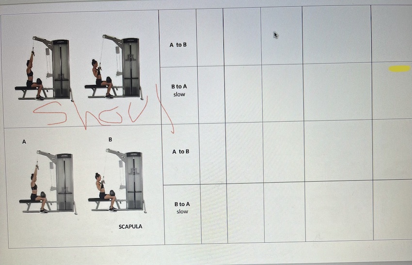 Solved The first box that is filled in with the picture is | Chegg.com