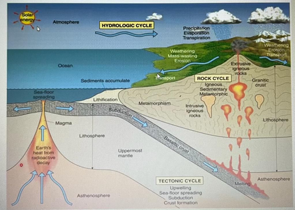 Solved gneiss limestone granite basalt "dragon glass" The | Chegg.com