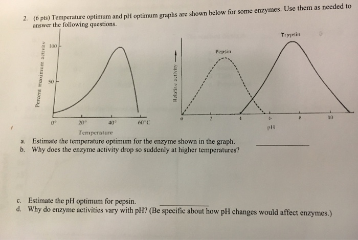 Solved 2. (6 pts) Temperature optimum and pH optimum graphs | Chegg.com