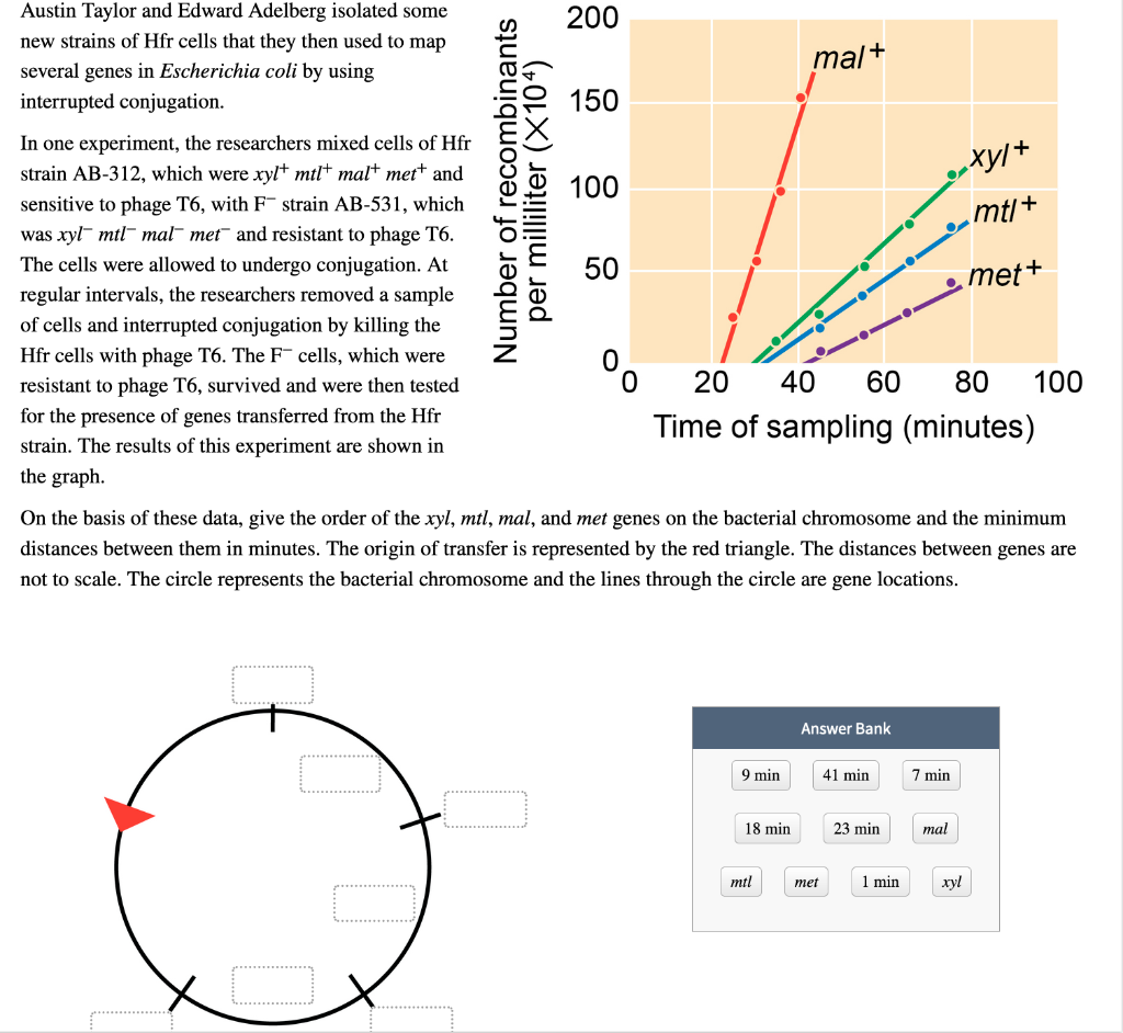 Solved Xy/+ mti + Number of recombinants per milliliter | Chegg.com