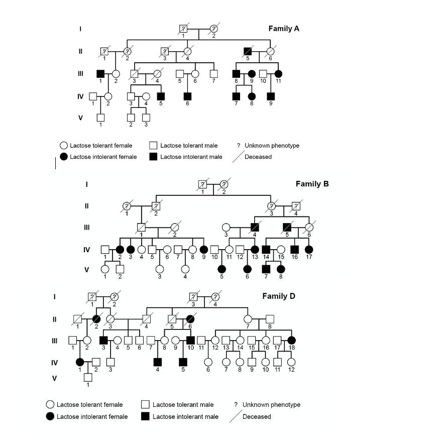 Solved In the HHMI Lactase pdf, family A indicates that | Chegg.com