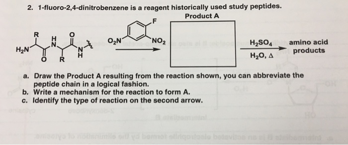 Solved 2. 1-fluoro-2,4-dinitrobenzene is a reagent | Chegg.com