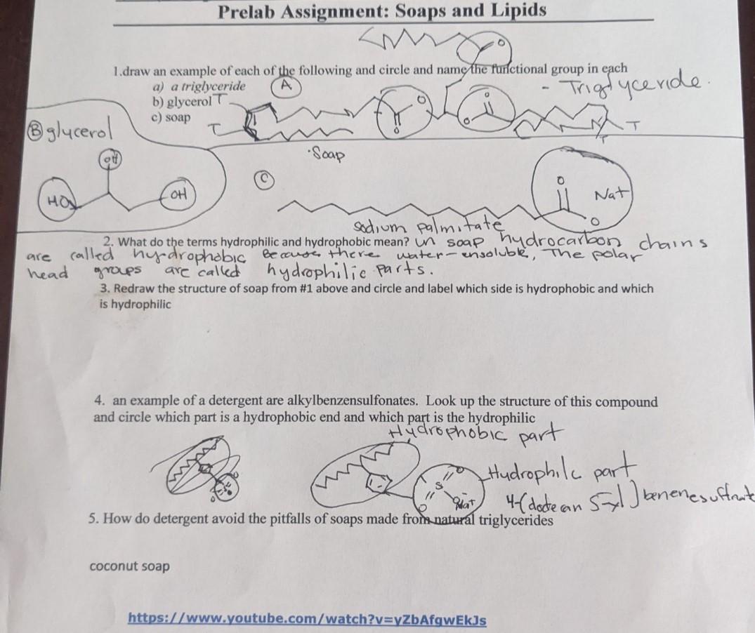 Solved Prelab Assignment: Soaps and Lipids 1.draw an example | Chegg.com