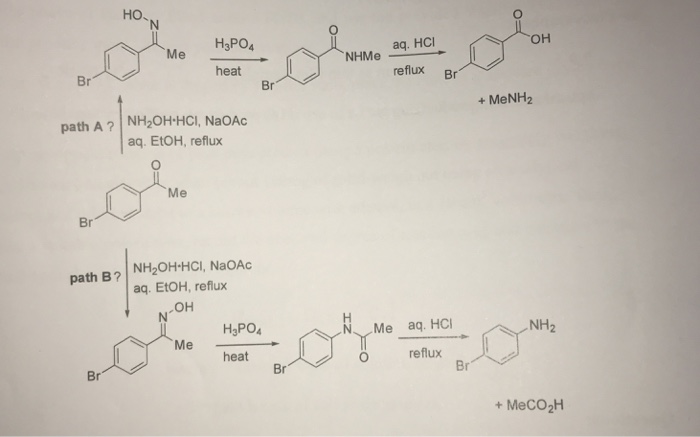 Solved Write a detailed reaction mechanism for the Beckmann | Chegg.com